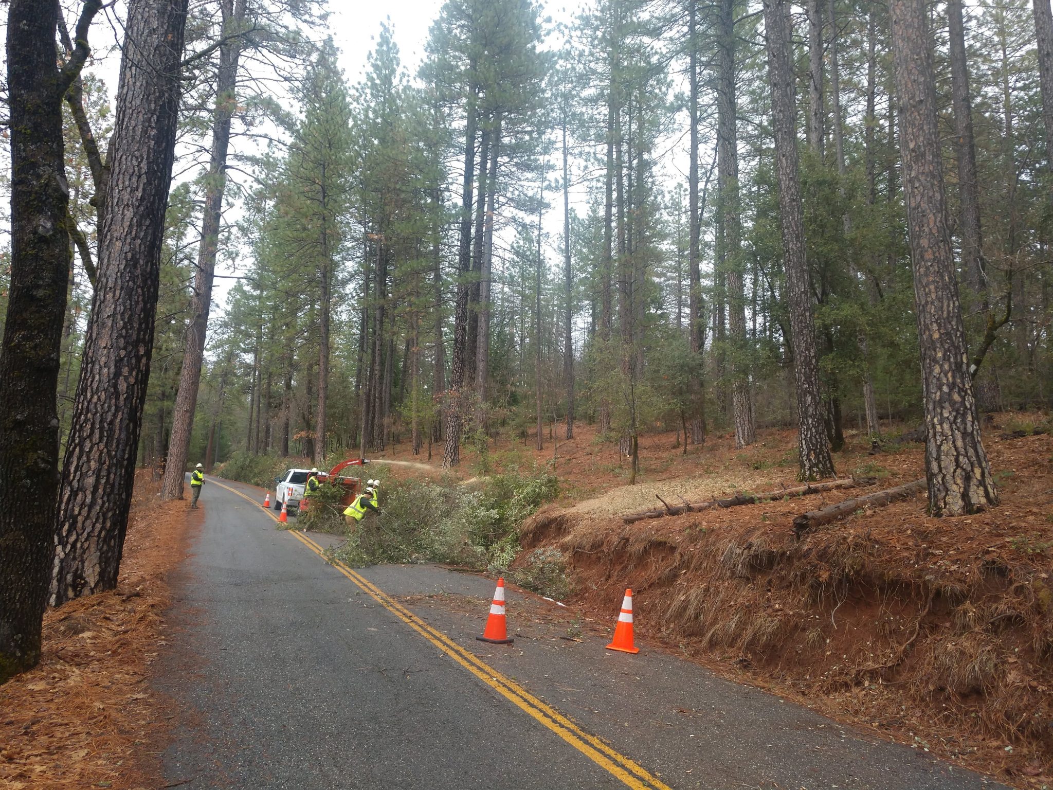 Roadside Fuels Reduction in Butte County - buttefiresafe.net