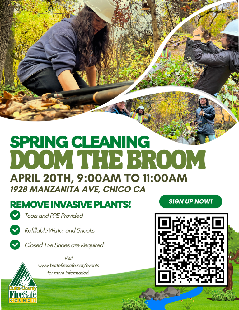 Doom the Broom – Spring Cleaning - buttefiresafe.net