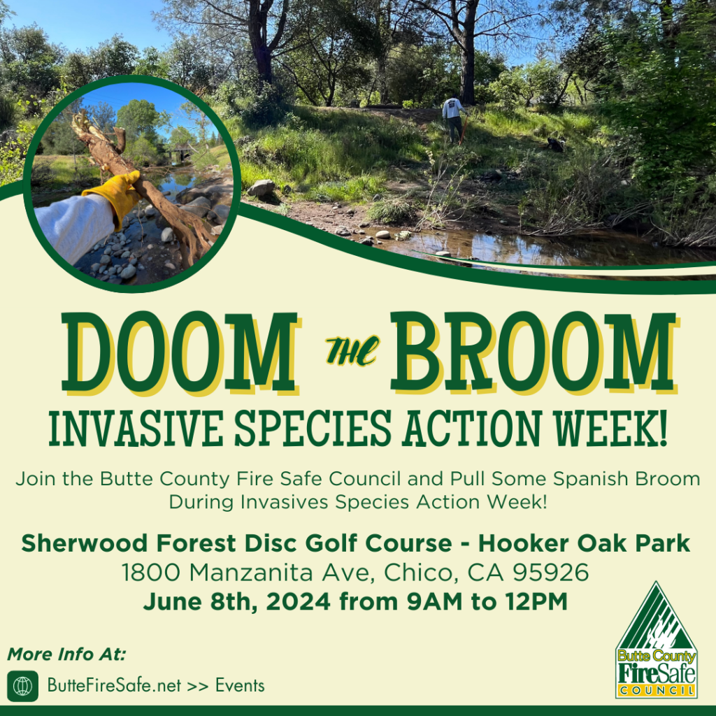 Doom the Broom: Invasive Species Week! - buttefiresafe.net